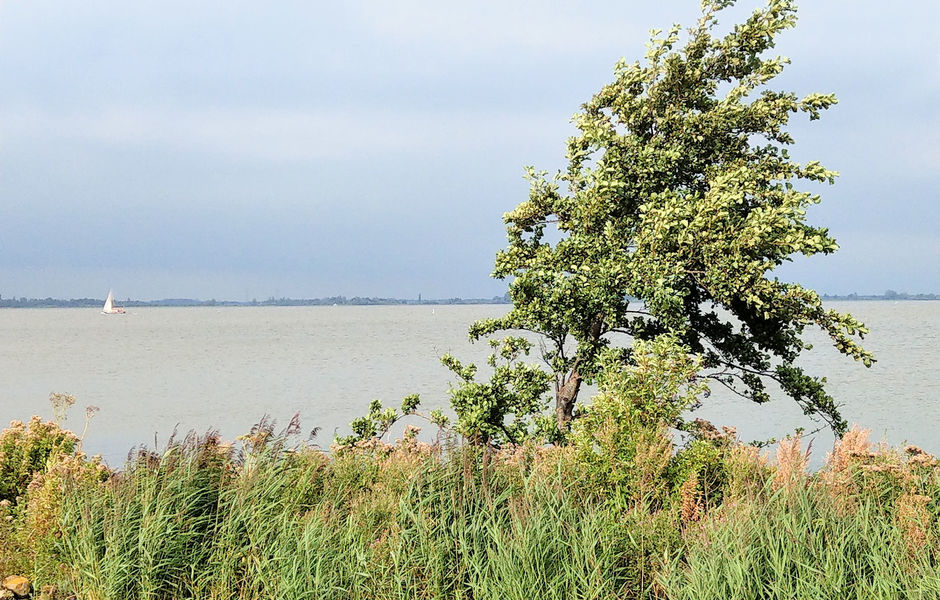 Ein Reisebericht:Bootstour: Holland: Fahren durch den National Park ...